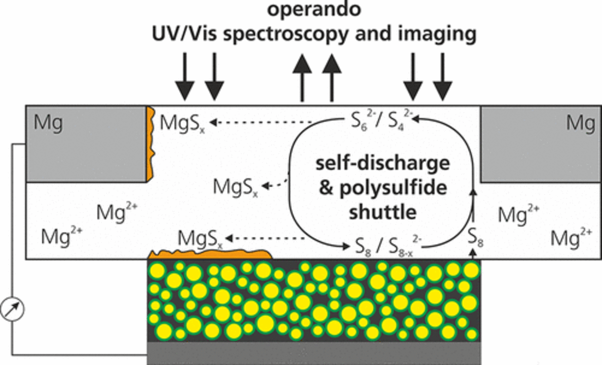 Operando UV/Vis spectroscopy providing Insights into the Sulfur and ...