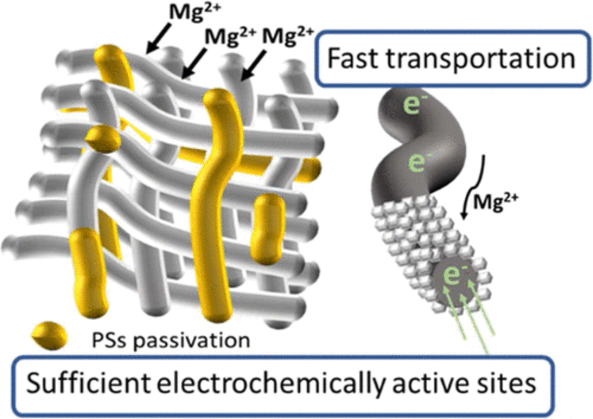 Insights into the Degradation Mechanism of the Magnesium Anode in ...